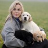 Иконка канала Лабрадоры и Испанские Водяные Собаки
