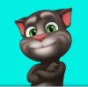 Иконка канала ТОМ 🐱👑⚡️