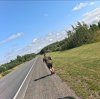 Иконка канала Мой путь: 15 000 км |Питер → Азия → Питер