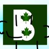 Иконка канала 🍁Владимир Пони🍁