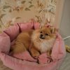 Иконка канала channel80946873