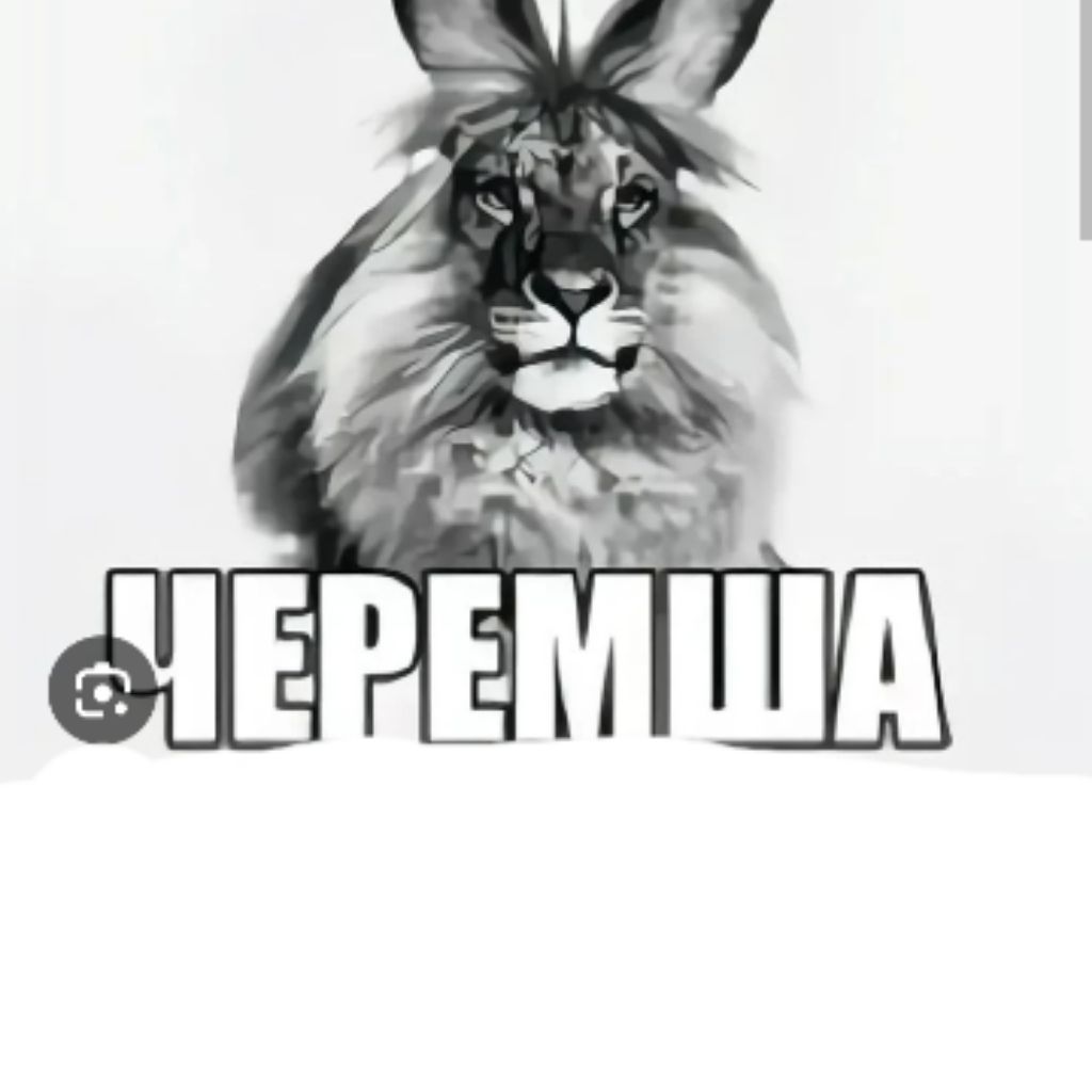 Иконка канала Черемша