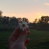 Иконка канала Алисик 🍓🎧