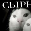 Иконка канала stariybog