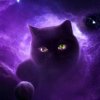 Иконка канала Космо Кот