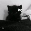 Иконка канала ♡матылек_stor🖤