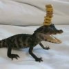 Иконка канала 🫪🐊krocodile 🐊🫪