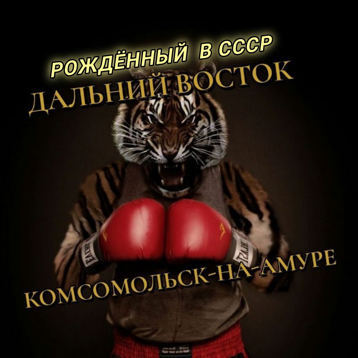Иконка канала Дима 1969 "Комсомольск-на-амуре"