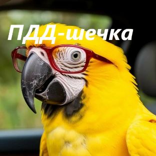 Иконка канала ПДД-шечка |ПДД | Разбор билетов на экзамен в ГИБДД
