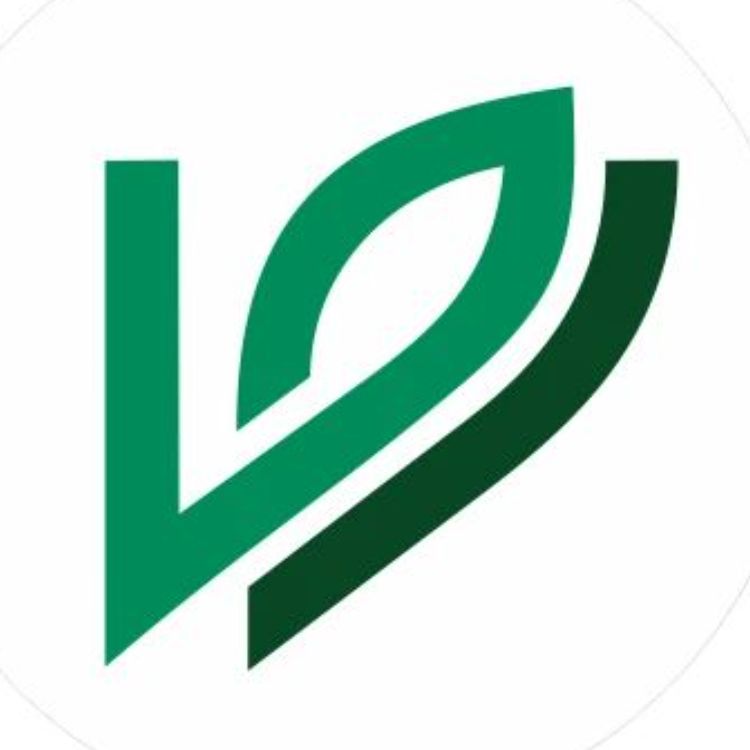 Иконка канала VIDA VERDE