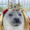 Иконка канала Tulelchik_show