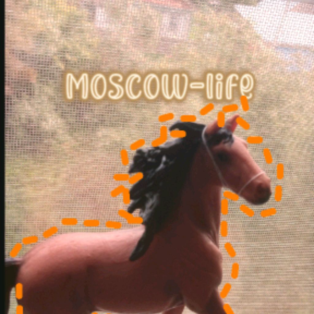 Иконка канала Moscow-life ✨