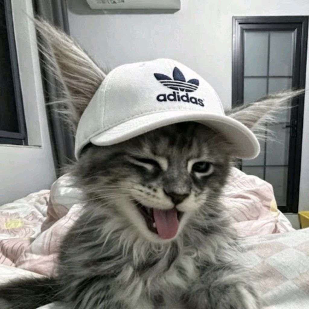 Иконка канала Катя ♥️