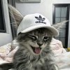 Иконка канала Катя ♥️