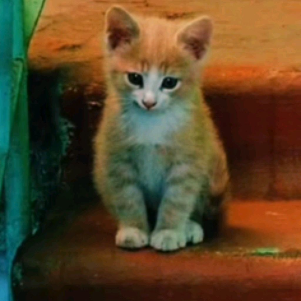 Иконка канала ❤️Мурзик❤️
