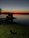 Иконка канала Carp_Trio