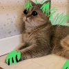 Иконка канала {﹤•﹥﹤•﹥﹤•﹥﹤•﹥﹤•﹥﹤•﹥﹤•﹥}