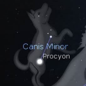 Иконка канала Canis Minor TV