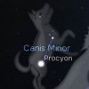 Иконка канала Canis Minor TV