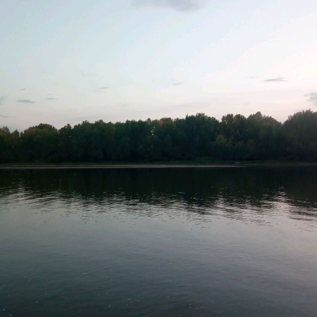 Иконка канала ﹤🌿Травка_пдб_🌿﹥