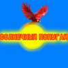 Иконка канала СОЛНЕЧНЫЙ ПОПУГАЙ Productions