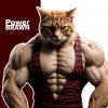 Иконка канала Power Brawn