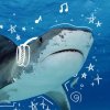 Иконка канала ~♧✨️Aesthetic Shark♧✨️~
