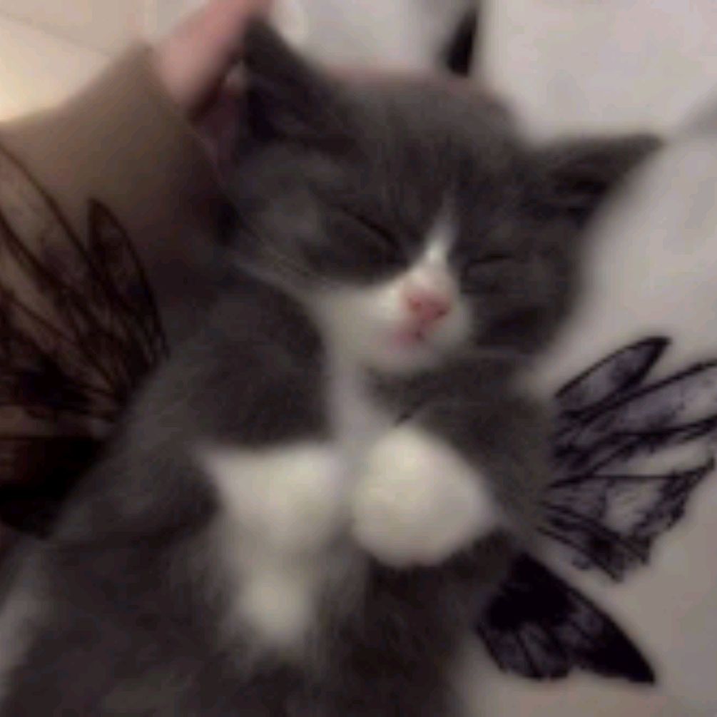 Иконка канала Cat Store