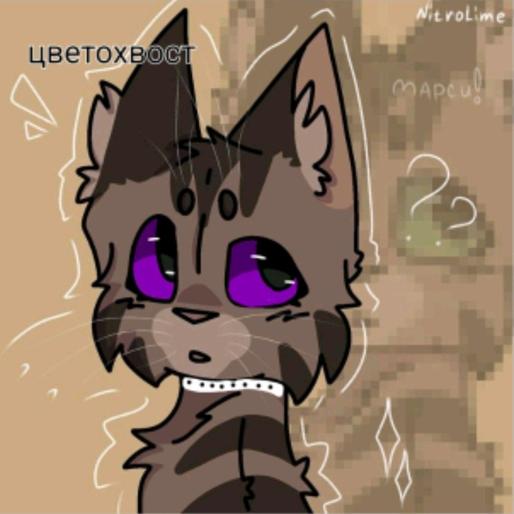 Иконка канала 🌀Цветохвост⭐