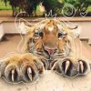 Иконка канала MYRK Cats