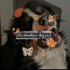 Иконка канала /🍄хвостатые друзья°//пдб🍂🍁