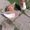Иконка канала channel76331746Маша Акулинкина