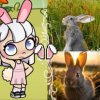 Иконка канала 🥕Dasha bunny🐰[ВЕРНУЛАСЬ]