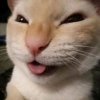Иконка канала Данил 25к
