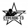 Иконка канала СТРЕЛОК-13