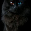 Иконка канала Катята