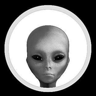 Иконка канала ANIMA