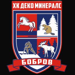 Иконка канала МКУ ДО БСШ «Ледовый дворец имени В. Фетисова»