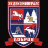 Иконка канала МКУ ДО БСШ «Ледовый дворец имени В. Фетисова»