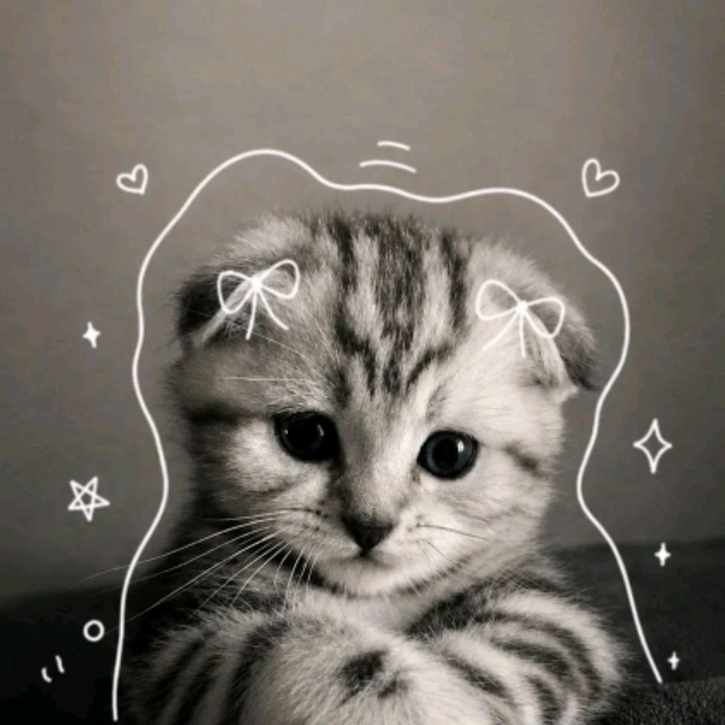 Иконка канала Алёна Стор 😚😚😚