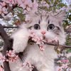 Иконка канала 🌺🪷 Wilksa🪷🌺