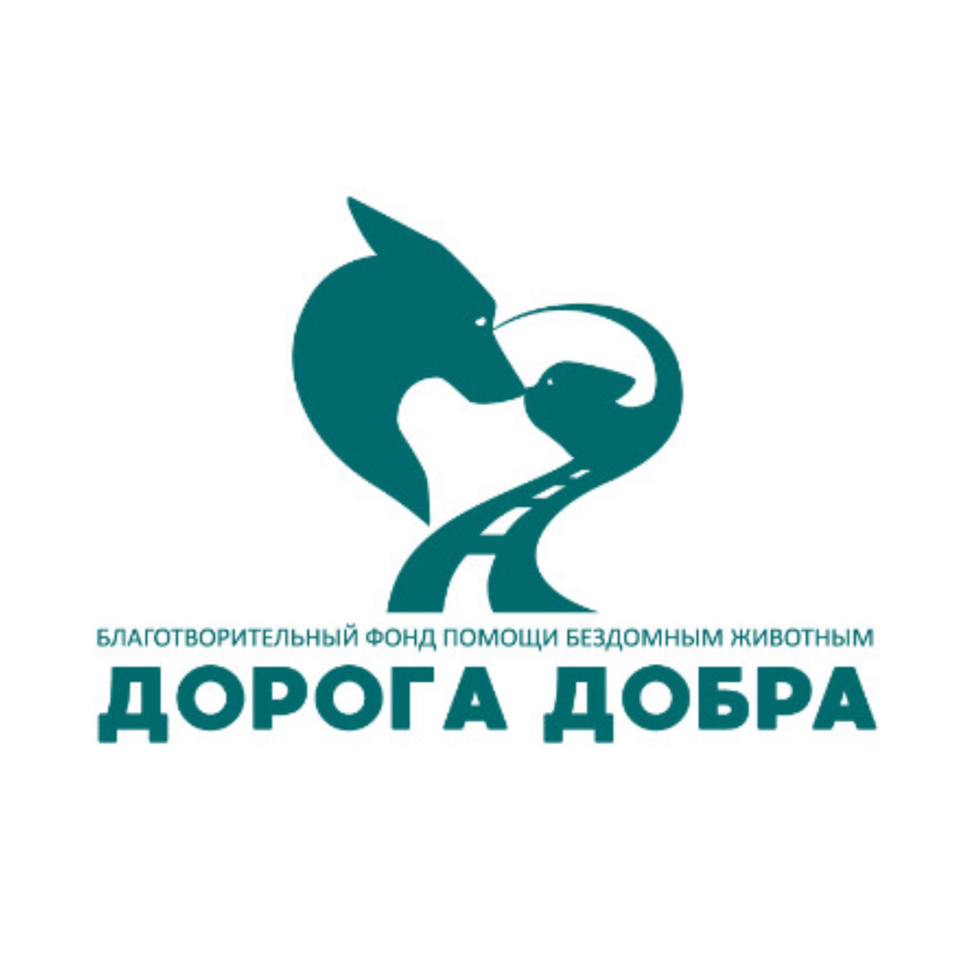 Иконка канала Благотворительный фонд ПБЖ  "Дорога Добра"