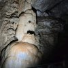 Иконка канала Dark Anomaly