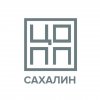 Иконка канала ЦОПП "Будущее Сахалина"
