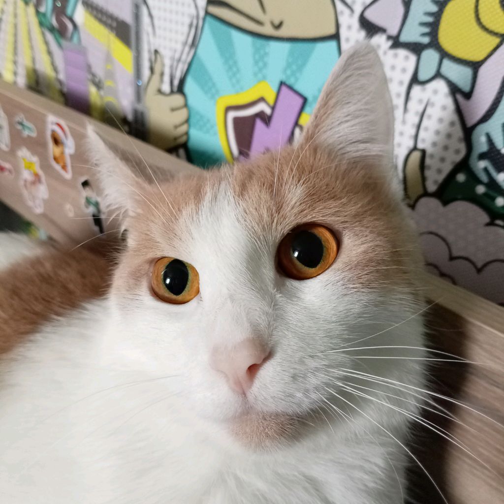 Иконка канала Бар$юшка и Макс 😸🧒🏼