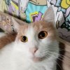 Иконка канала Бар$юшка и Макс 😸🧒🏼