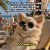 Иконка канала Cherry v Delli🍒