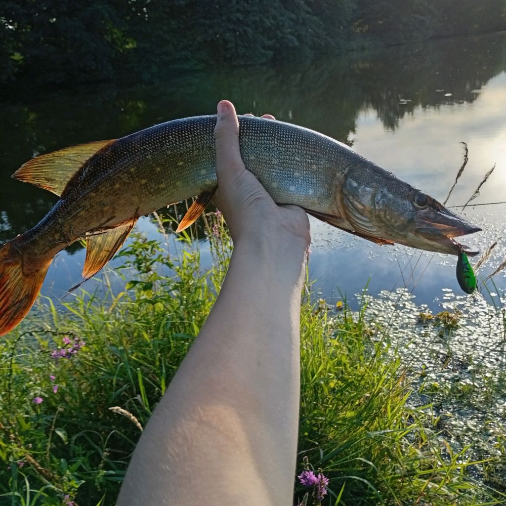 Иконка канала Рыбалка 🎣