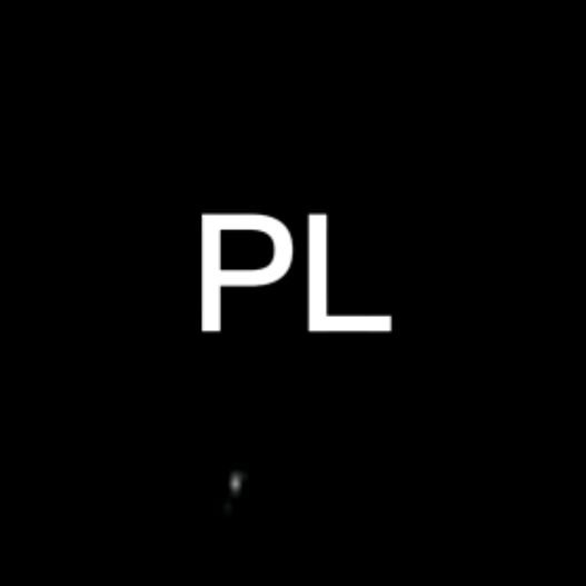 Иконка канала PL Scratch Рутуб