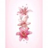 Иконка канала 🌸Вау Женя 🌸